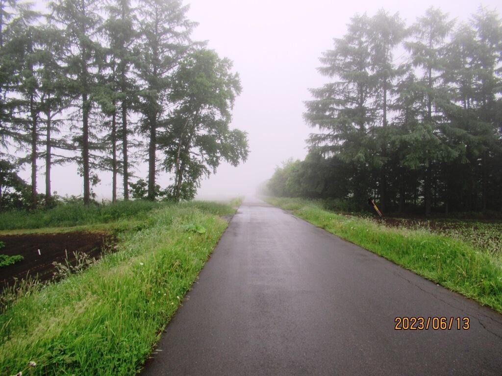 ランニング-2023-06-13 / miyaさんのランニングの活動日記 | YAMAP / ヤマップ