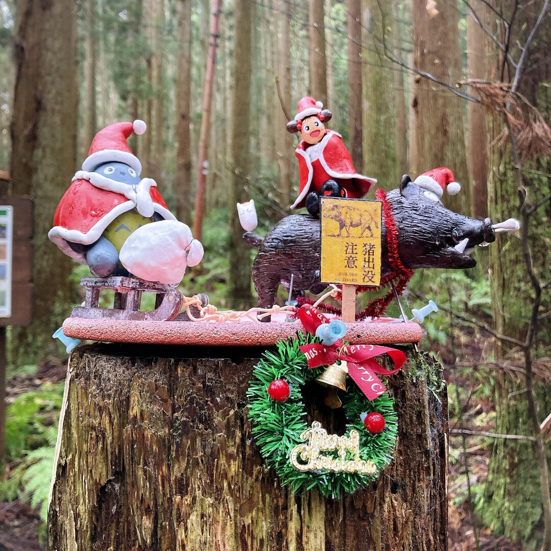 伊夜日子さま⛰️13 / katsu.fdさんの弥彦山・多宝山・雨乞山の活動データ | YAMAP / ヤマップ