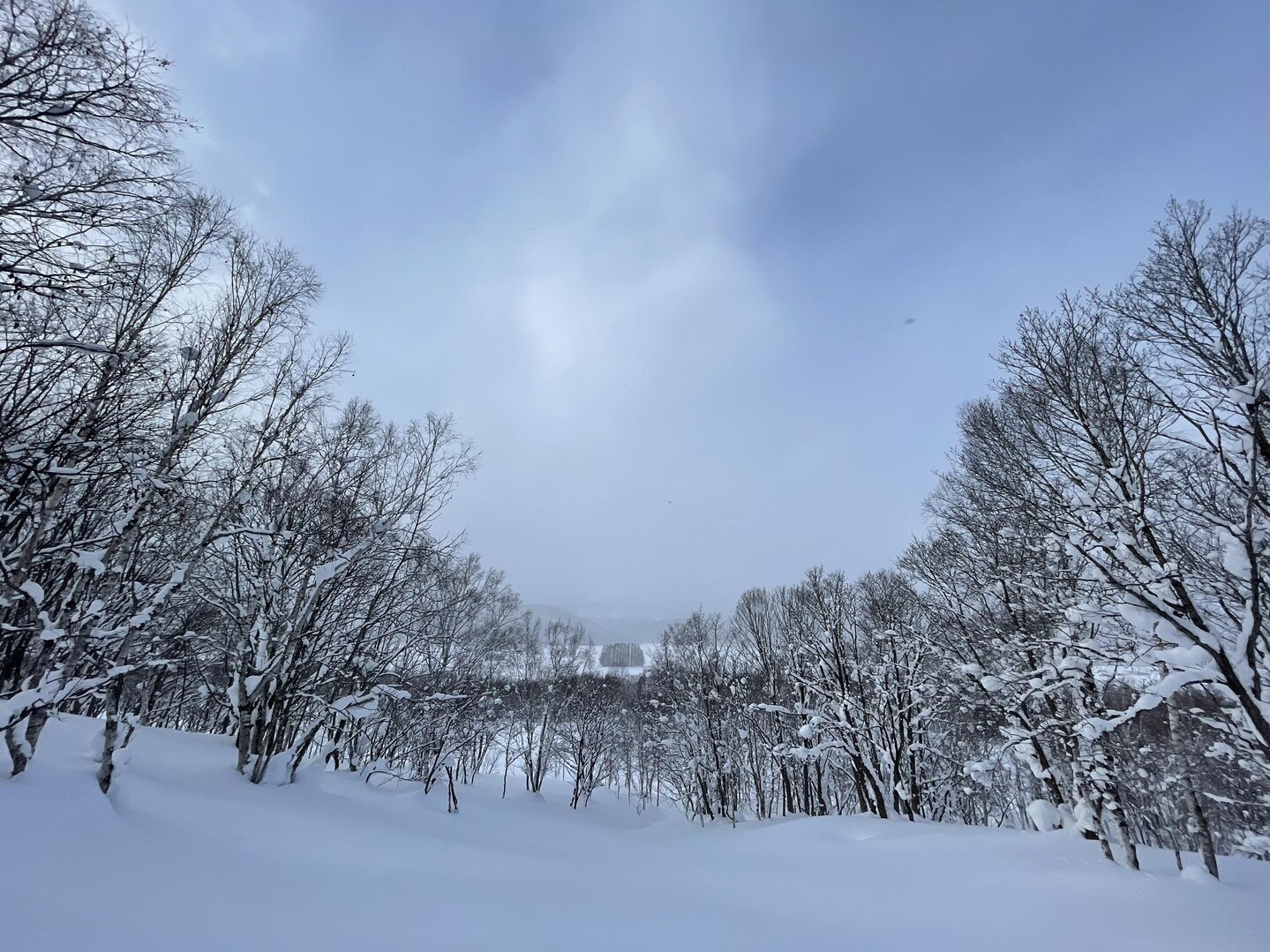 立春 水銀山 / momo🐦さんの南浅羽山の活動データ | YAMAP / ヤマップ