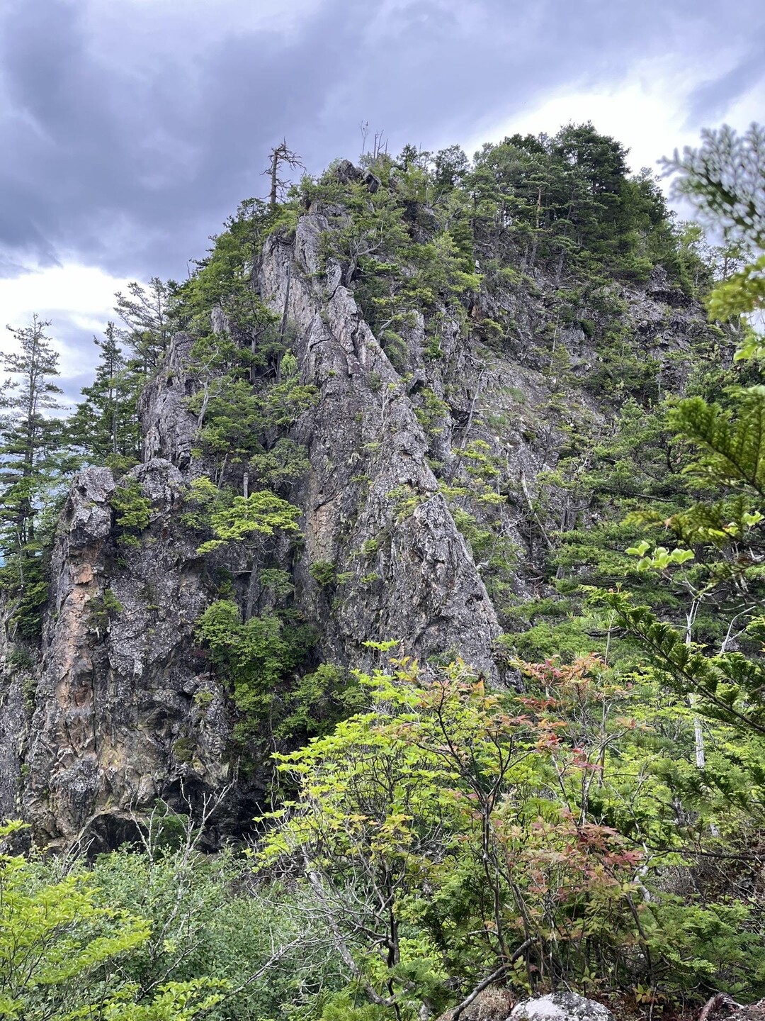 両神山（赤岩尾根） / takeyanさんの両神山・諏訪山・二子山の活動日記 | YAMAP / ヤマップ