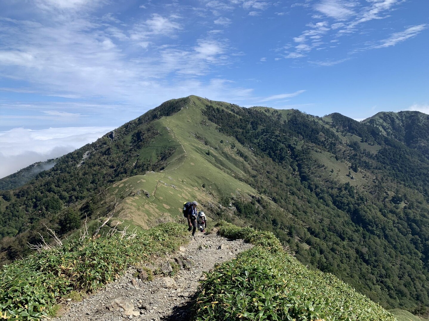 剣山と三嶺 〜 / Kazumaさんのモーメント | YAMAP / ヤマップ