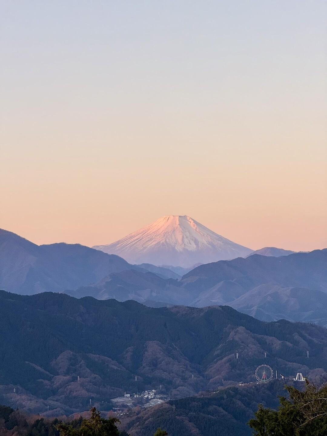 TJ(OI)T 冬至の高尾山歩 / ごうさんの高尾山・陣馬山・景信山の活動データ | YAMAP / ヤマップ