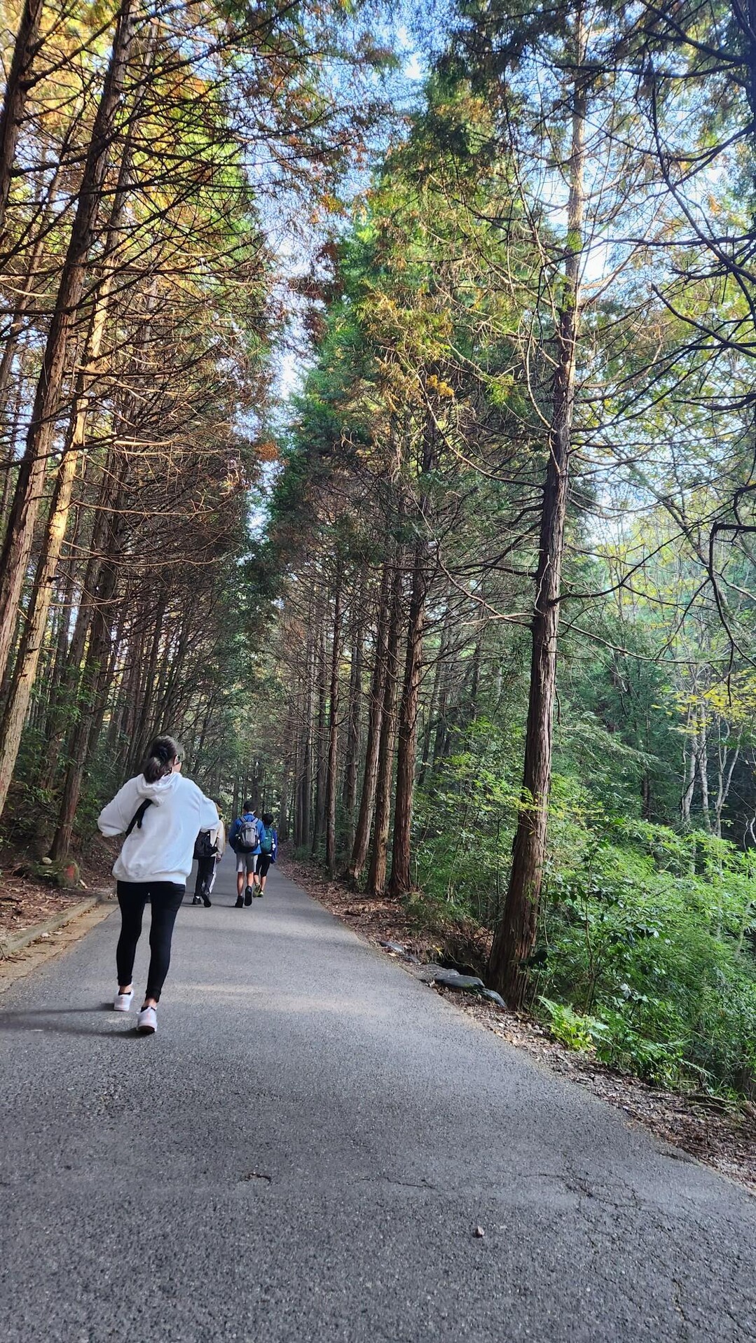 2023.11.5～No.1／登山デビュ... / kojiさんのモーメント | YAMAP / ヤマップ