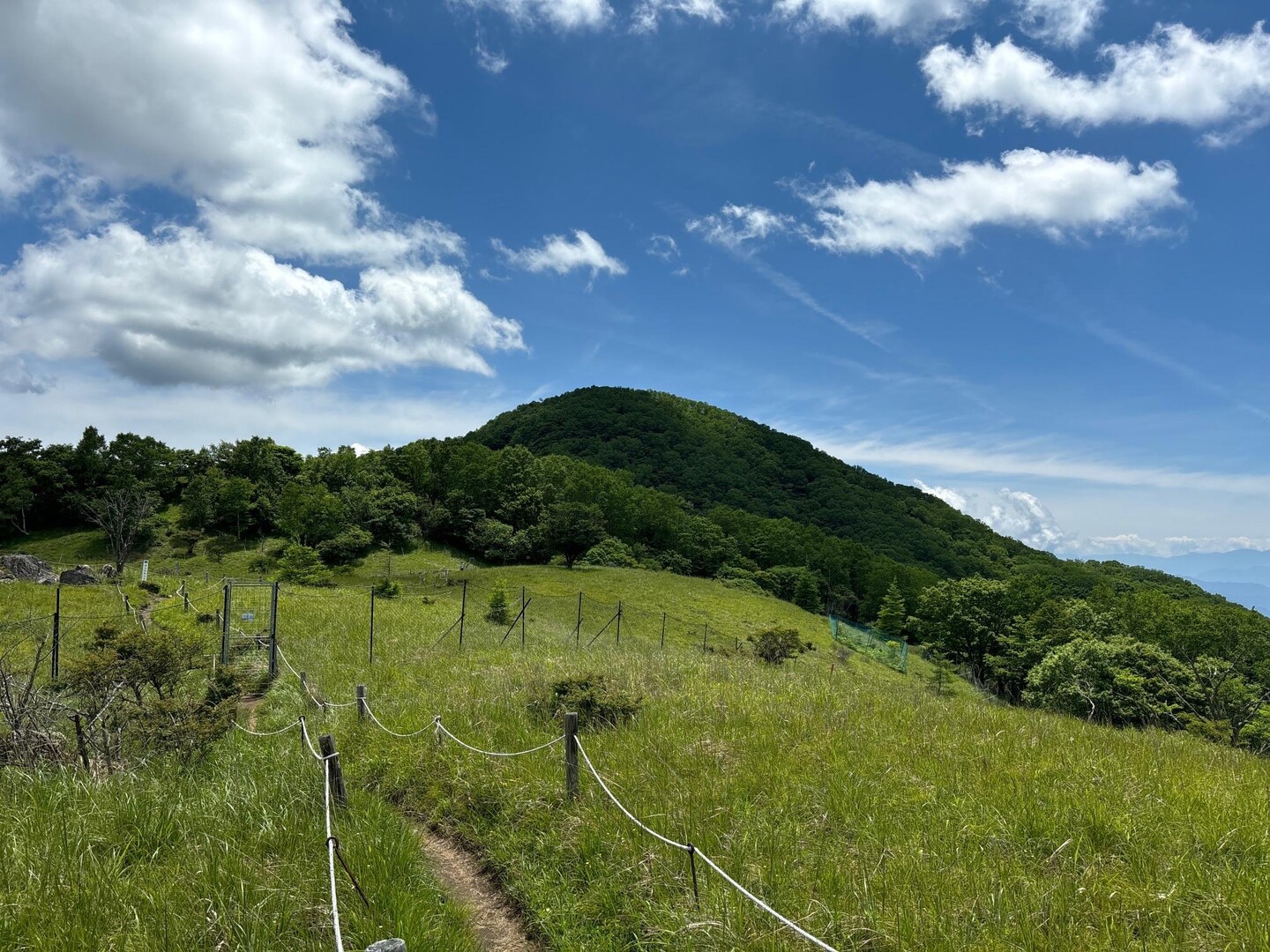 大蔵高丸【山梨百名山】 / takaさんの雁ヶ腹摺山・岩殿山の活動データ | YAMAP / ヤマップ