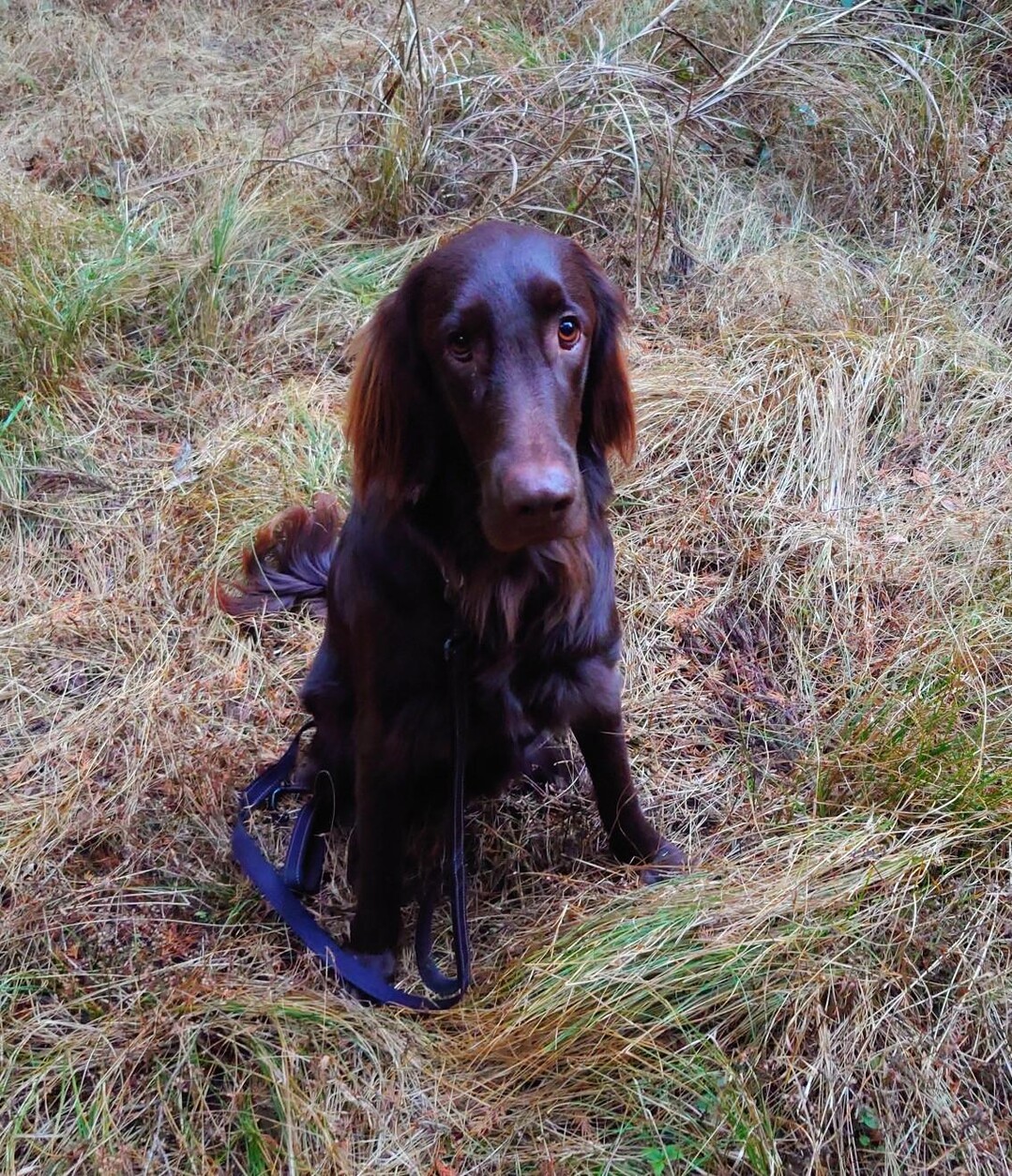 柴山 / MCボビヲさんのヤマノススメ巡礼マップ（天覚山・大高山・子の権現）の活動データ | YAMAP / ヤマップ