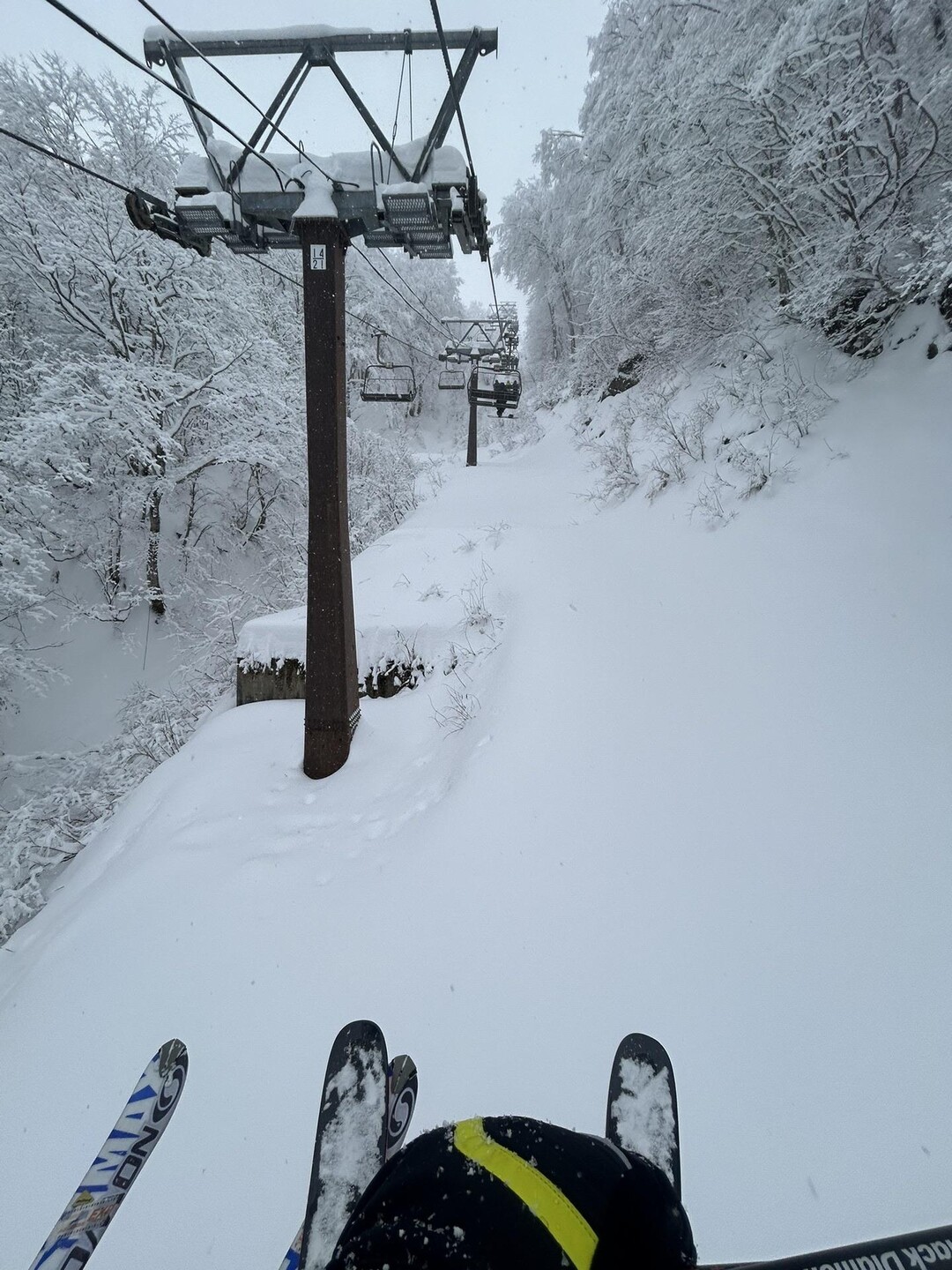 HAKUBA47 初滑り / あきさんさんのスキーの活動データ | YAMAP / ヤマップ