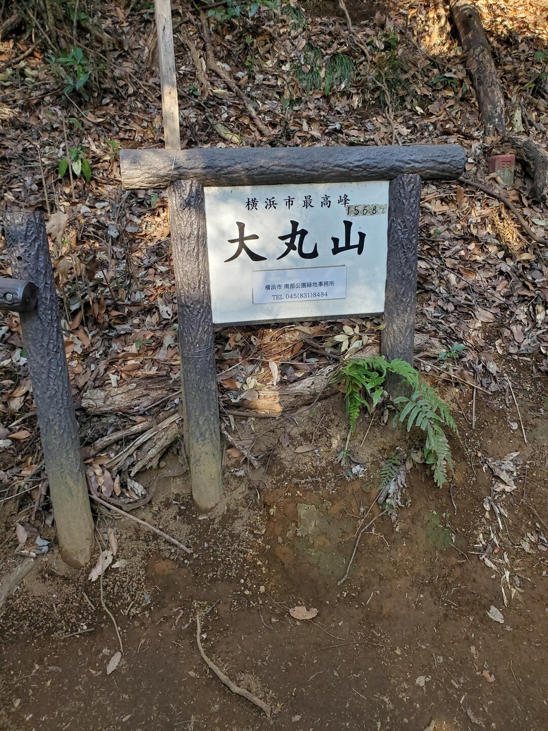 大丸山 / jjjfさんの鎌倉アルプス（大平山・天台山）の活動データ | YAMAP / ヤマップ