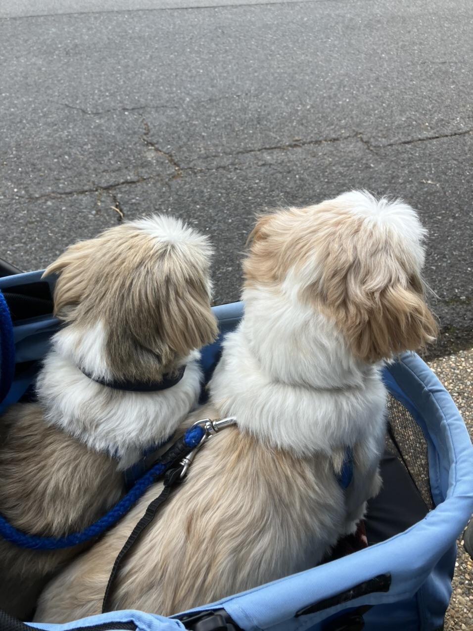 さえぞうのページ | YAMAP / ヤマップ