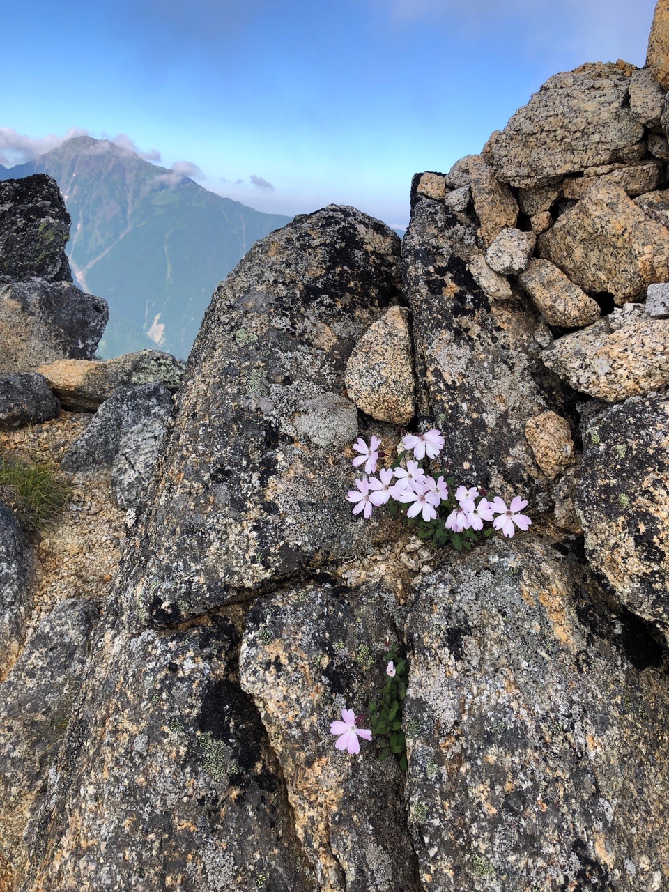 地蔵ヶ岳(地蔵岳)・観音岳・薬師岳 / konyan さんの鳳凰山・地蔵岳・観音岳・薬師岳の活動データ | YAMAP / ヤマップ