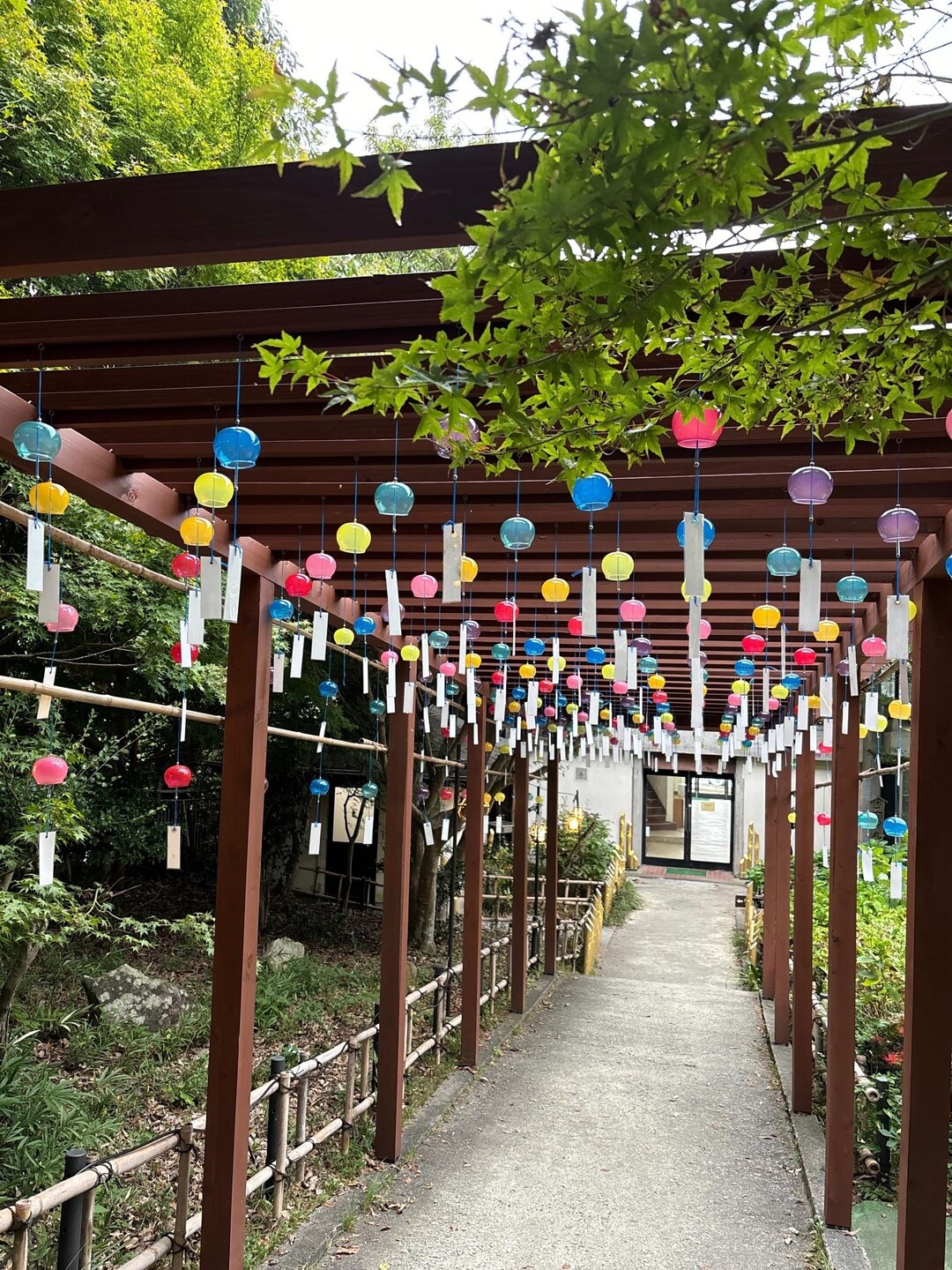 久しぶりの八幡山 / santaさんのウォーキングの活動データ | YAMAP / ヤマップ