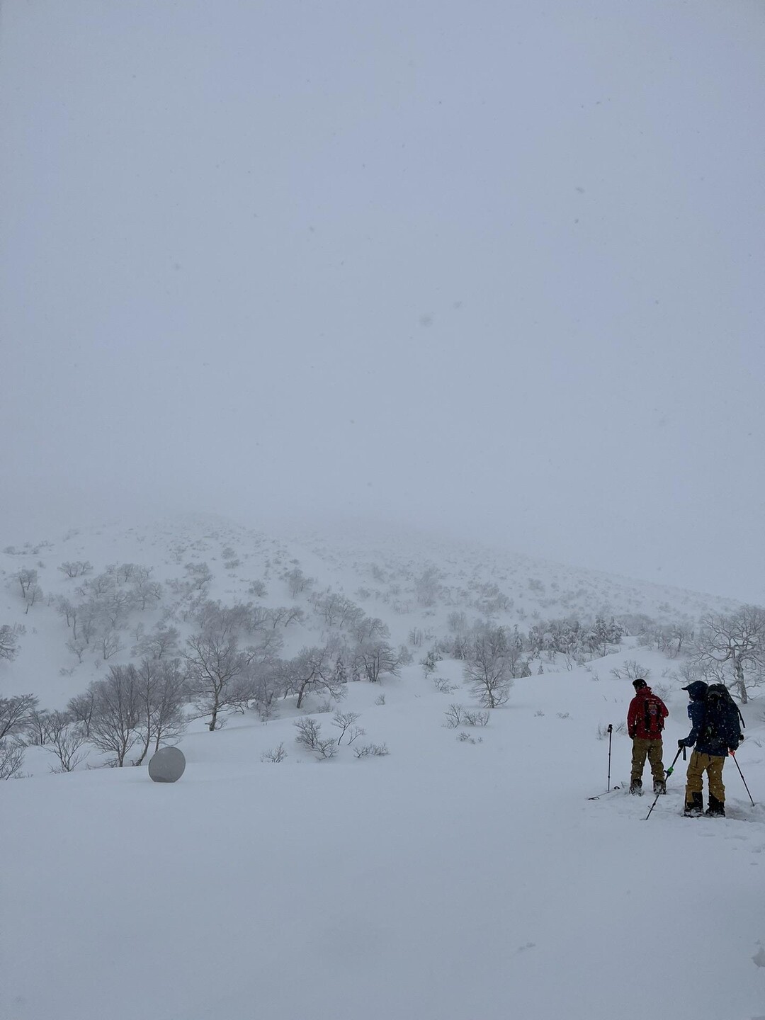 秋田駒ヶ岳BC・8合目まで-2023-02-19 / YTKさんの秋田駒ヶ岳・男女岳・貝吹岳の活動データ | YAMAP / ヤマップ