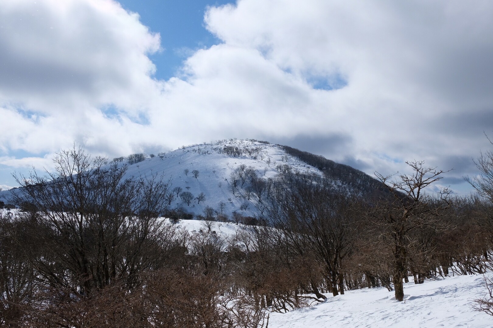 2021登り初め。禁断の扉を開けてしまったかも？雪山初体験…藤原岳 / M_Akkyさんの藤原岳・御池岳の活動データ | YAMAP / ヤマップ