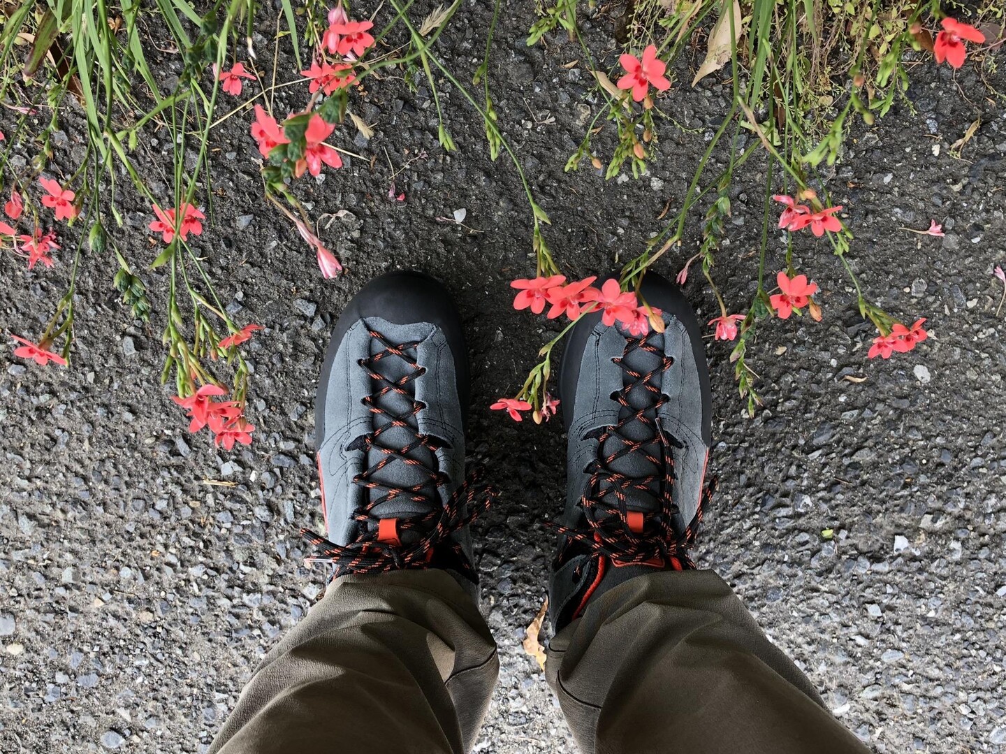 とうとうスポルティバのアプローチシューズ... / heeさんのモーメント | YAMAP / ヤマップ