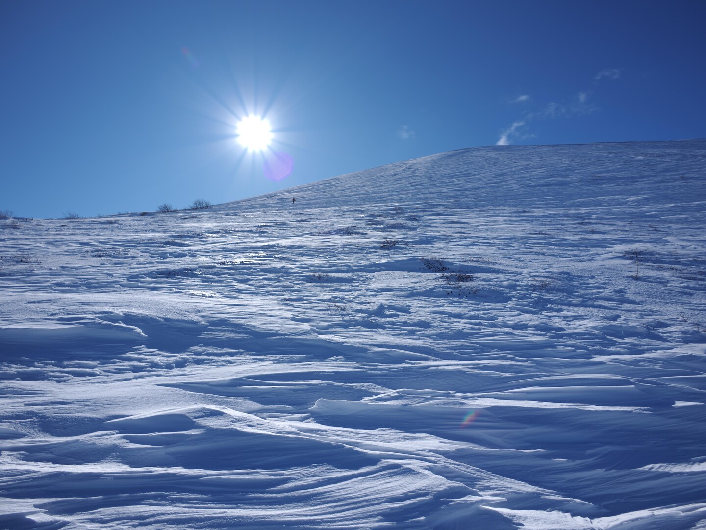樽前山／北海道苫小牧市・千歳市 / sk-hugoさんの樽前山・風不死岳の活動データ | YAMAP / ヤマップ