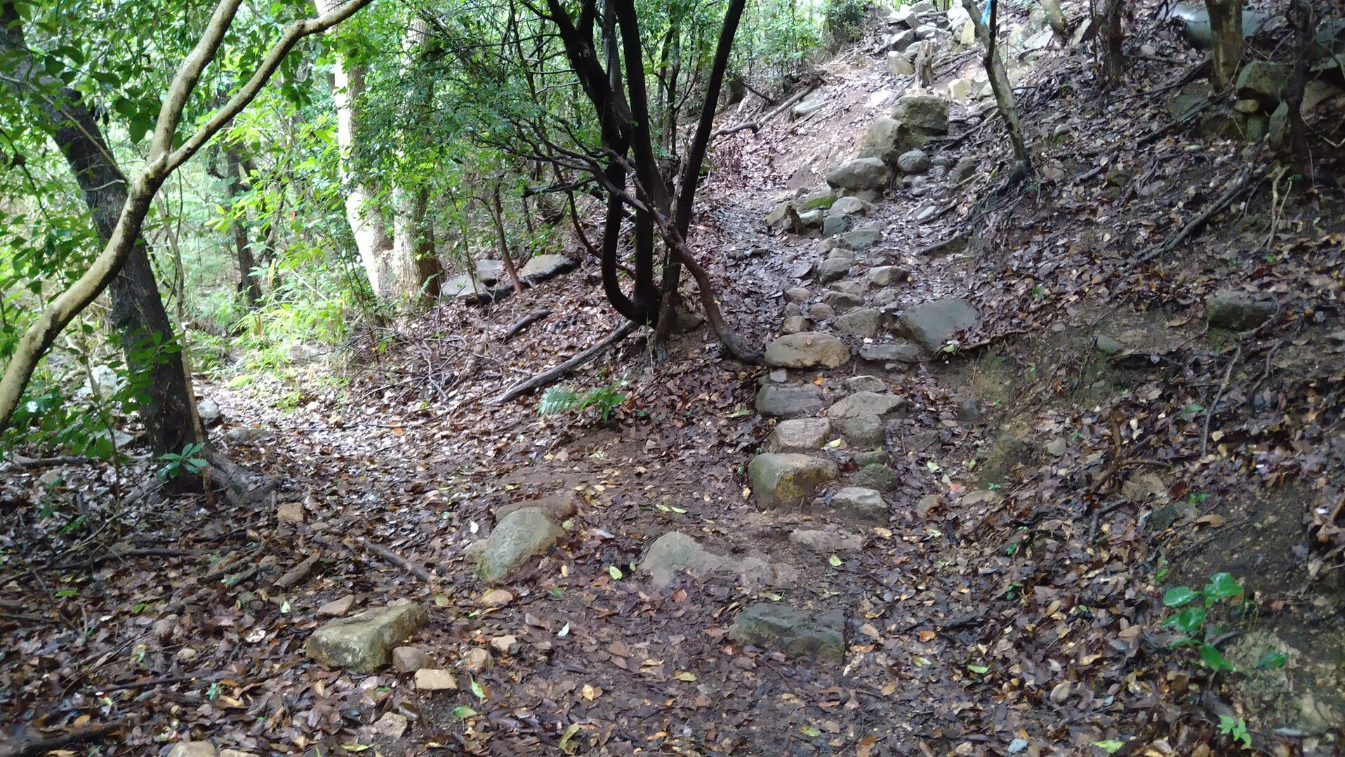 kame11さんの投稿したフィールドメモ | YAMAP / ヤマップ