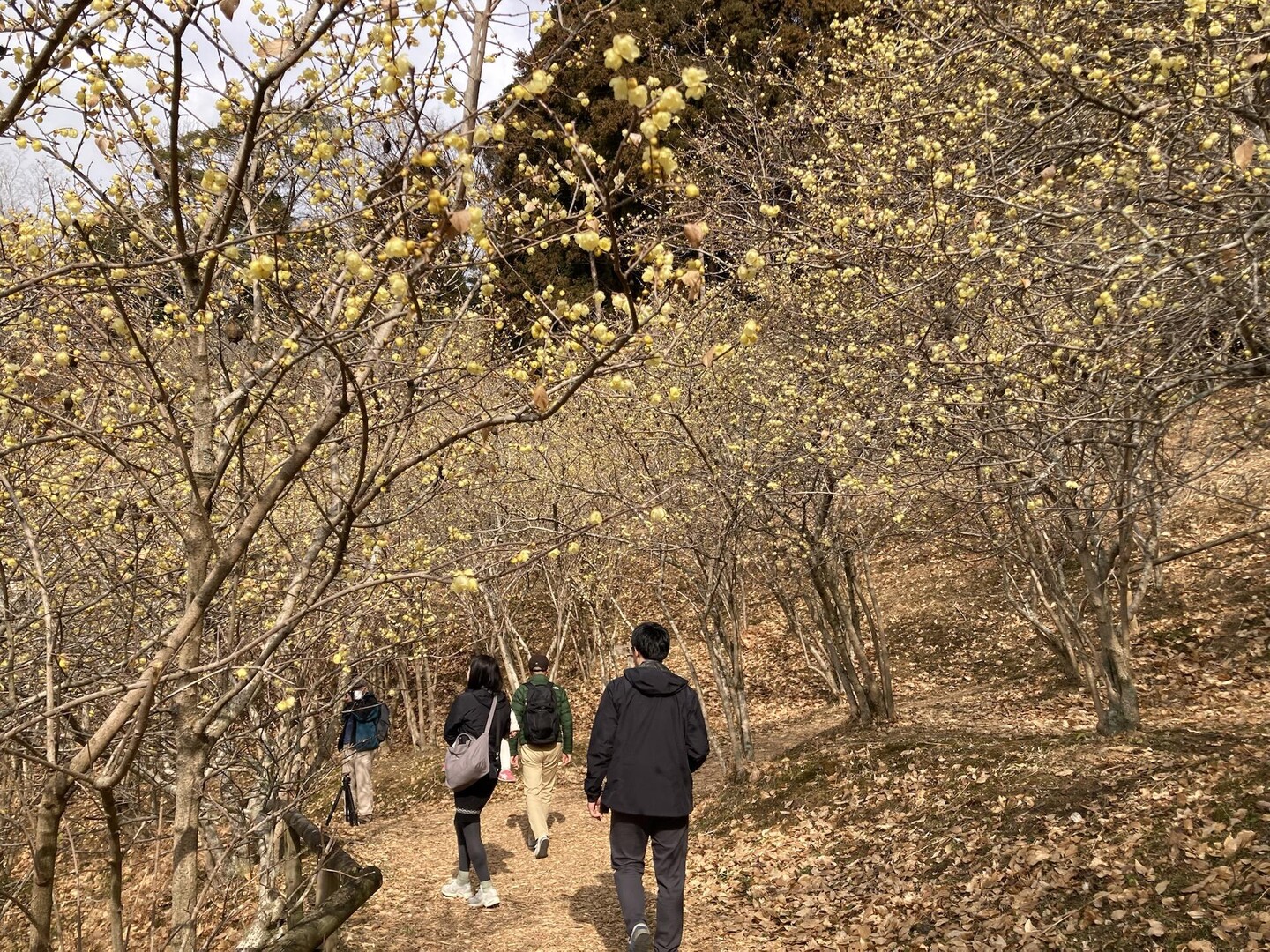 娘と孫を山ガールにしよう大作戦！ 今週... / miwaさんのモーメント | YAMAP / ヤマップ