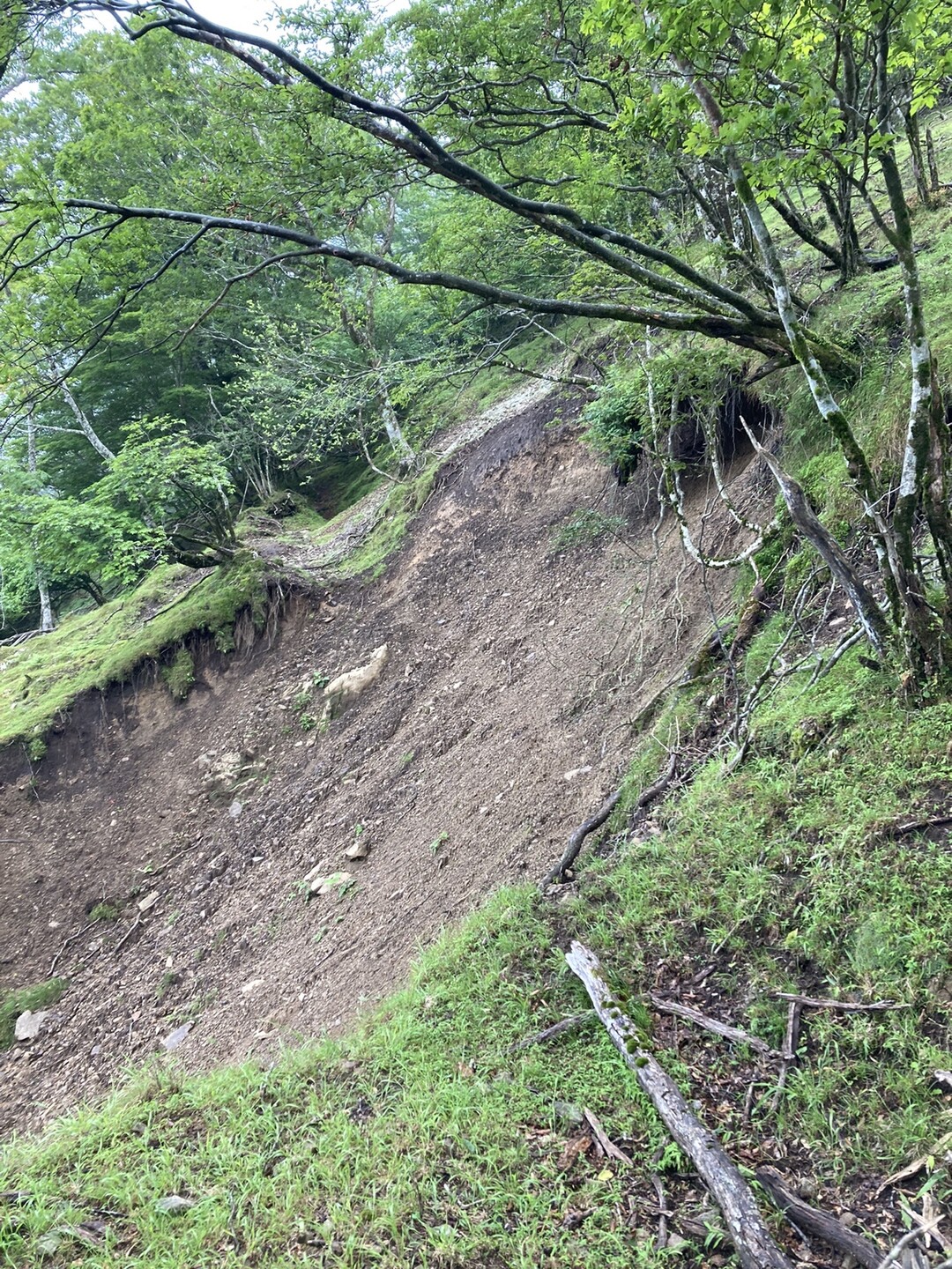 まつ〜ごさんの投稿したフィールドメモ | YAMAP / ヤマップ