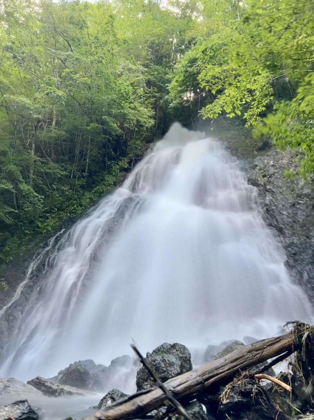 北日高岳 / FUM!さんの北日高岳の活動データ | YAMAP / ヤマップ