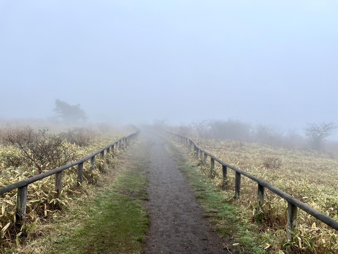 高ボッチ山 / Y Yukoさんの鉢伏山・高ボッチ山・三峰山の活動データ | YAMAP / ヤマップ