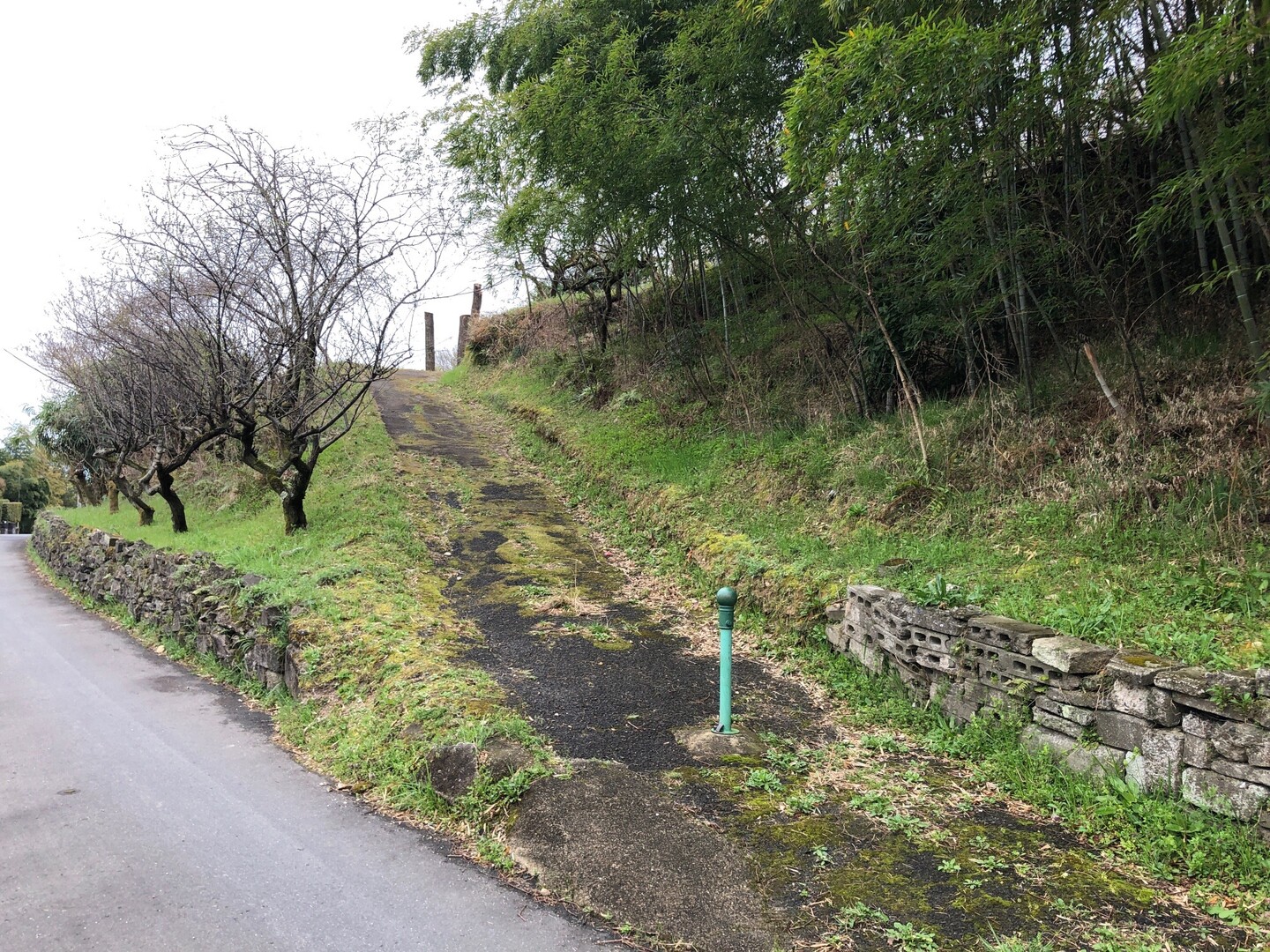 NORYさんの投稿したフィールドメモ | YAMAP / ヤマップ