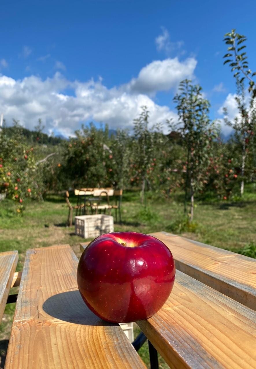 yuのページ | YAMAP / ヤマップ