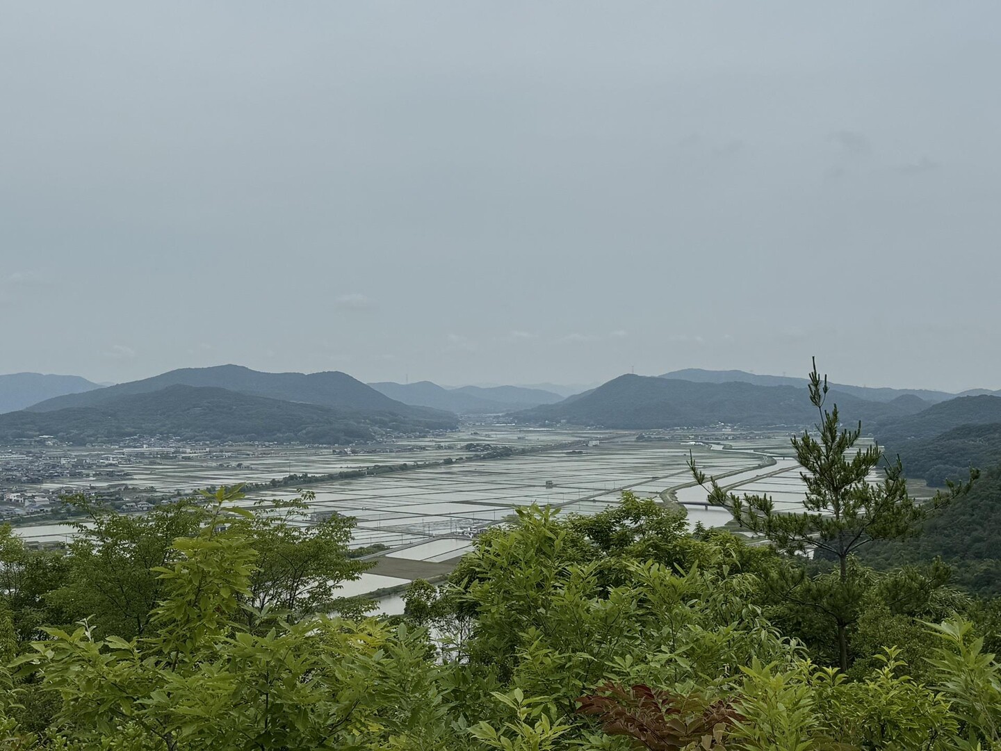 大雄山・雄久山・ダンガメ山・松山 / moanaさんのダンガメ山・大雄山・おくの細道アルプスの活動データ | YAMAP / ヤマップ