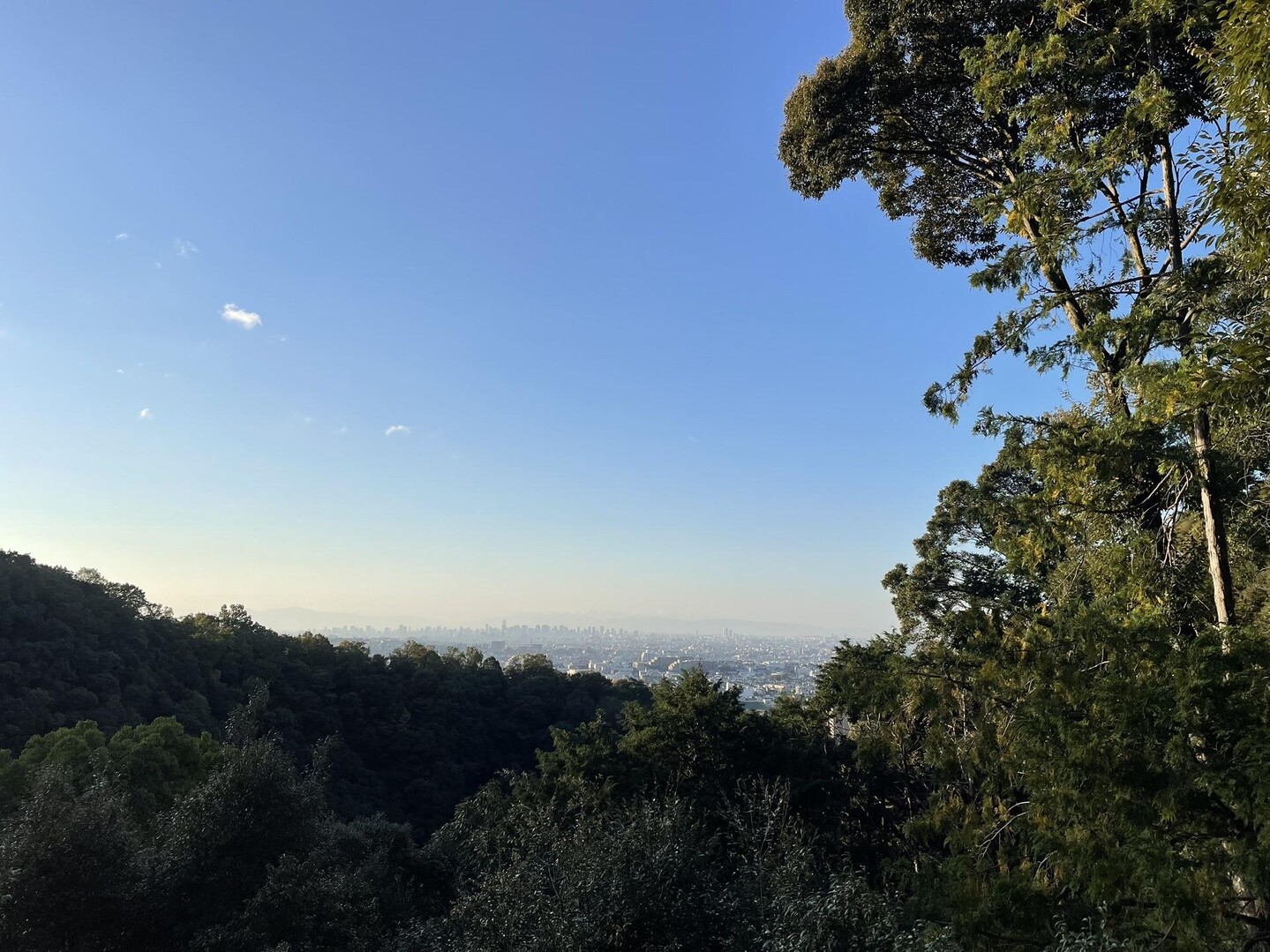 六個山・鉢伏山・明ヶ田尾山・五月山-2022-10-29 / otorinさんの六個山・鉢伏山・明ヶ田尾山・五月山の活動データ | YAMAP / ヤマップ