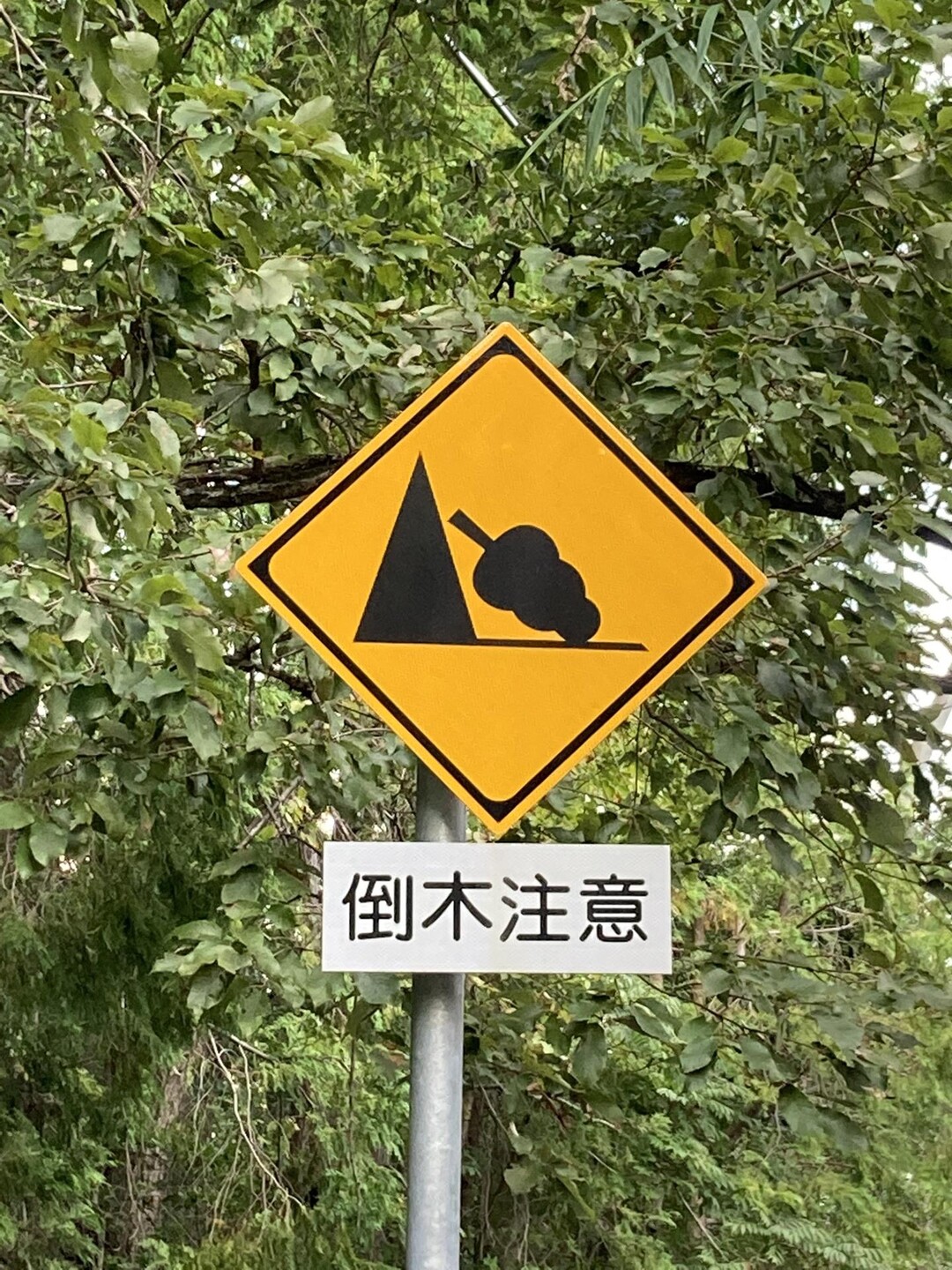 団子 / けいさんのモーメント | YAMAP / ヤマップ