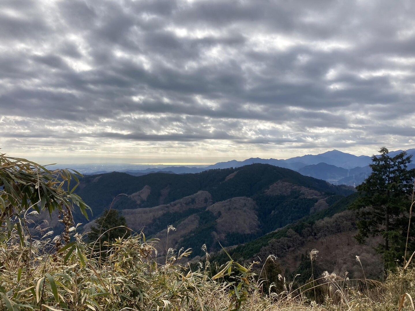 景信山・城山（小仏城山）雪 ️が降る前に / Ozanさんの高尾山・陣馬山・景信山の活動データ | YAMAP / ヤマップ