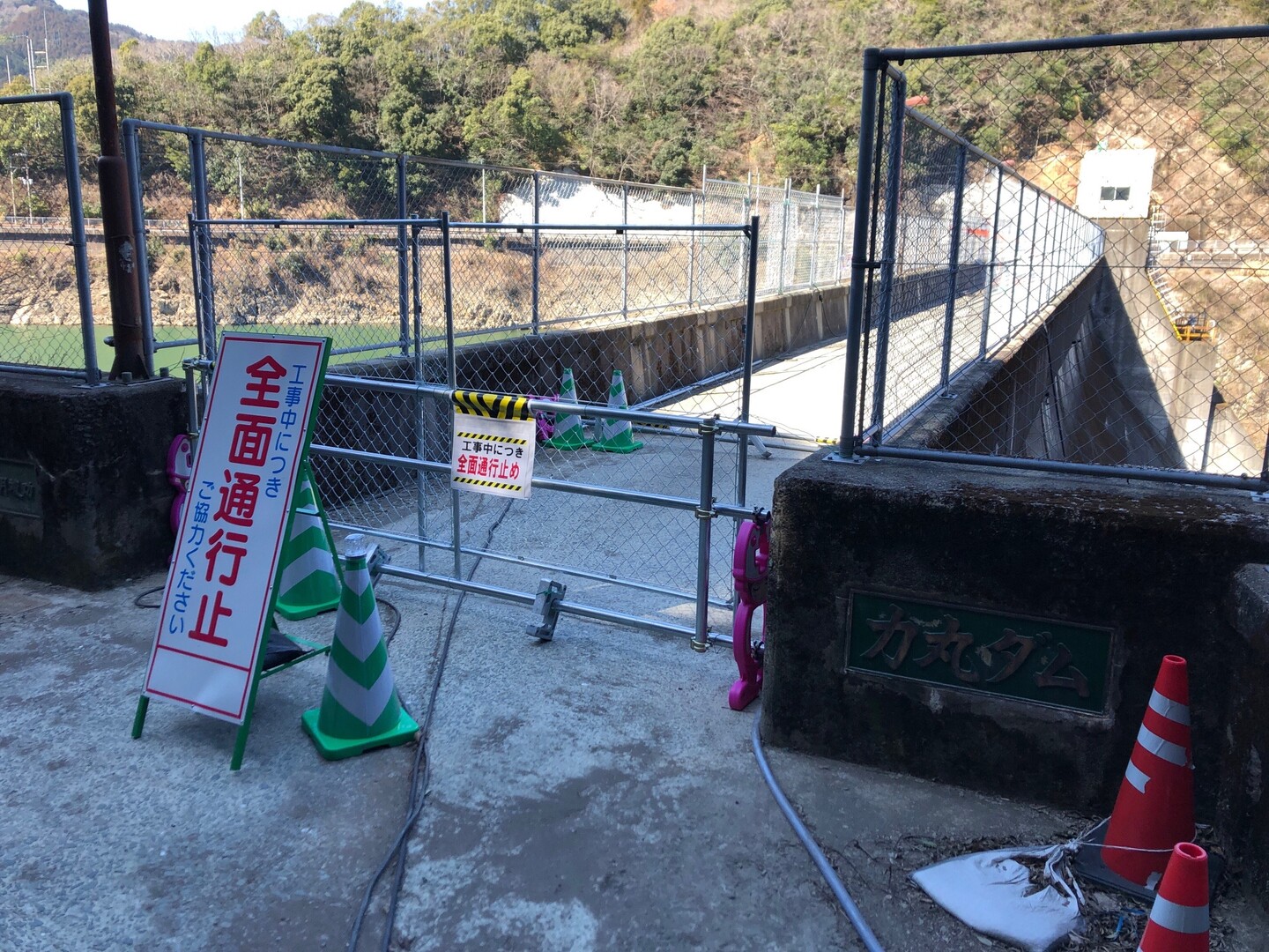 Ko-seさんの投稿したフィールドメモ | YAMAP / ヤマップ