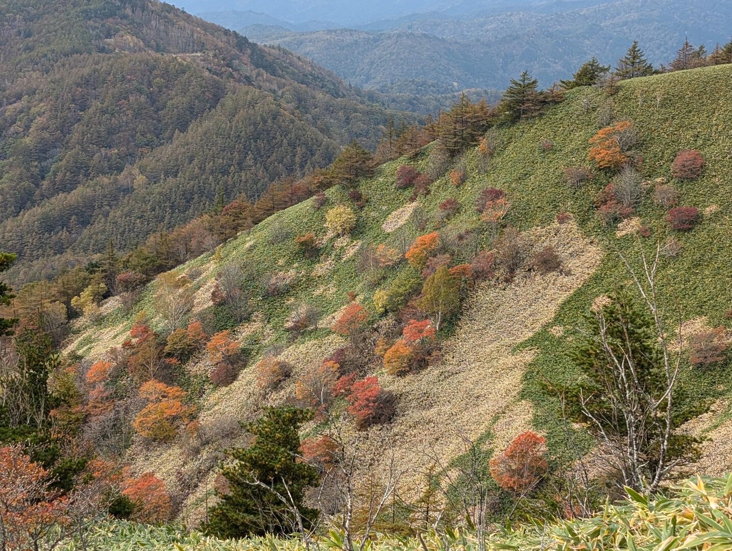大川入山 / se-2さんの大川入山・横岳の活動データ | YAMAP / ヤマップ
