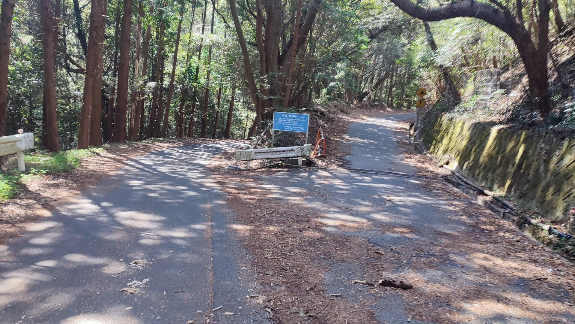 JOG#24 聖山への林道ピストン / つっちいさんの遠望峰山・桑谷山・聖山の活動データ | YAMAP / ヤマップ
