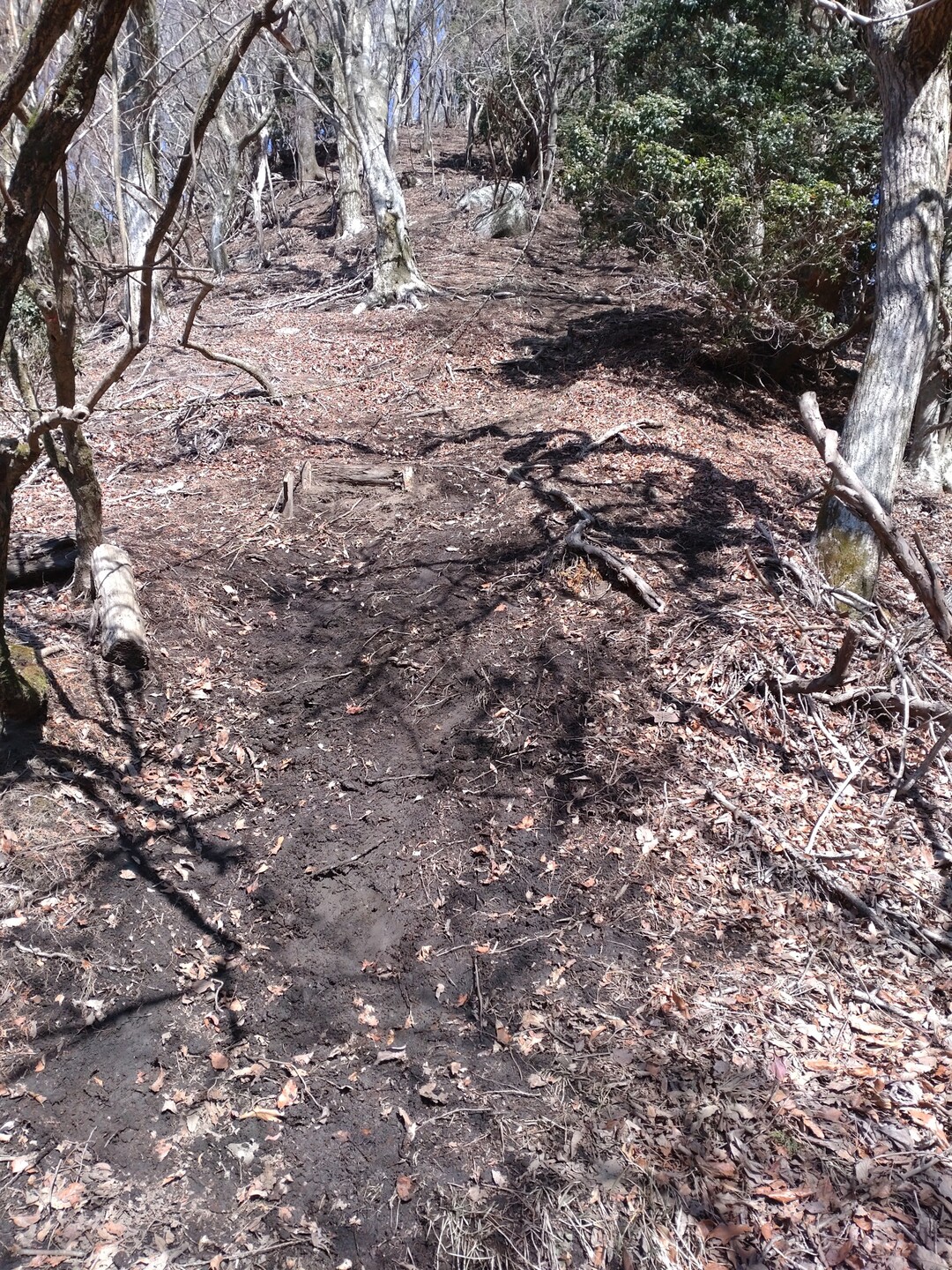 c-boyさんの投稿したフィールドメモ | YAMAP / ヤマップ