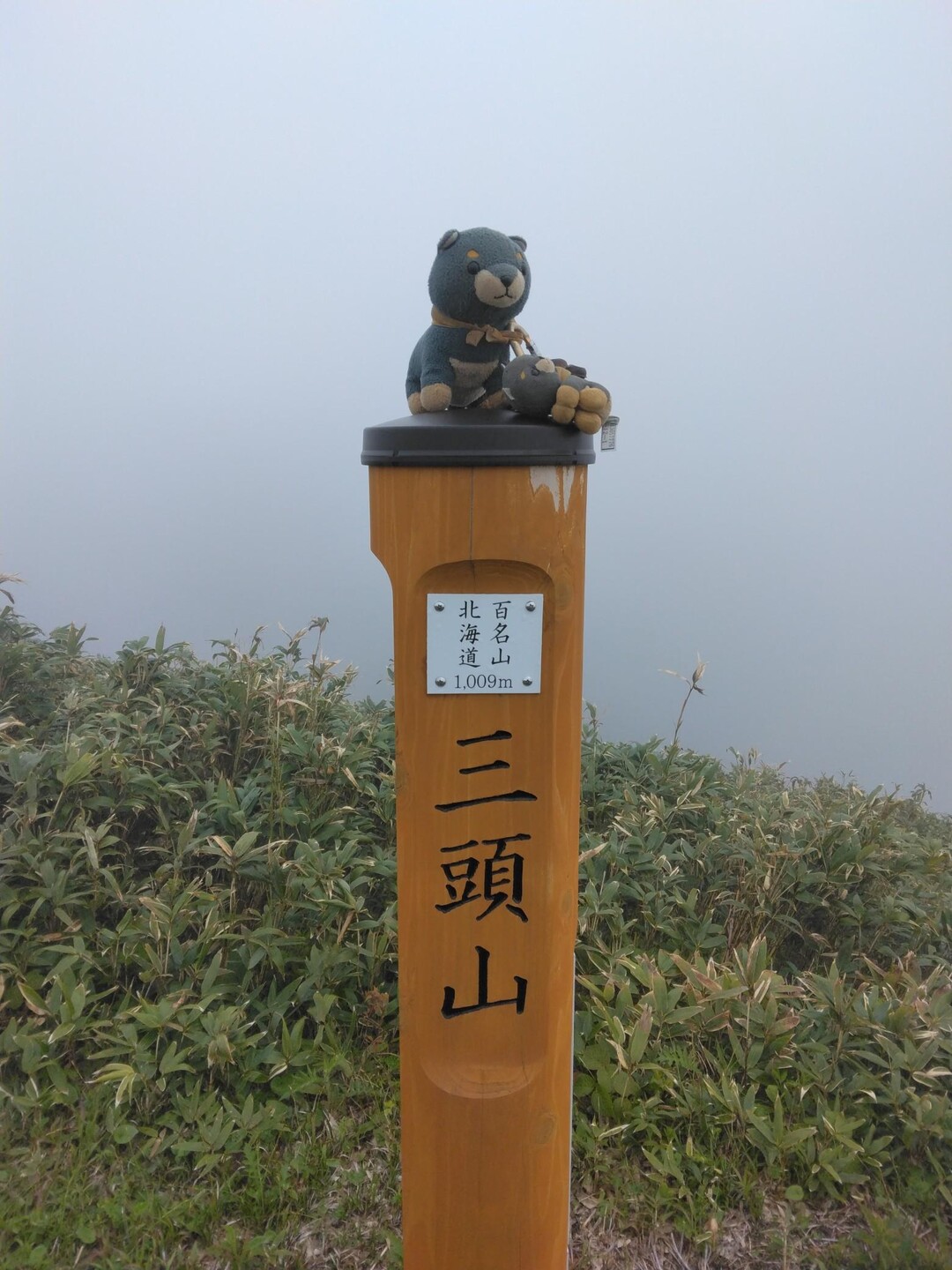 三頭山🐶🐰 2023-06-11 / プルー🐶さんの三頭山の活動データ | YAMAP / ヤマップ