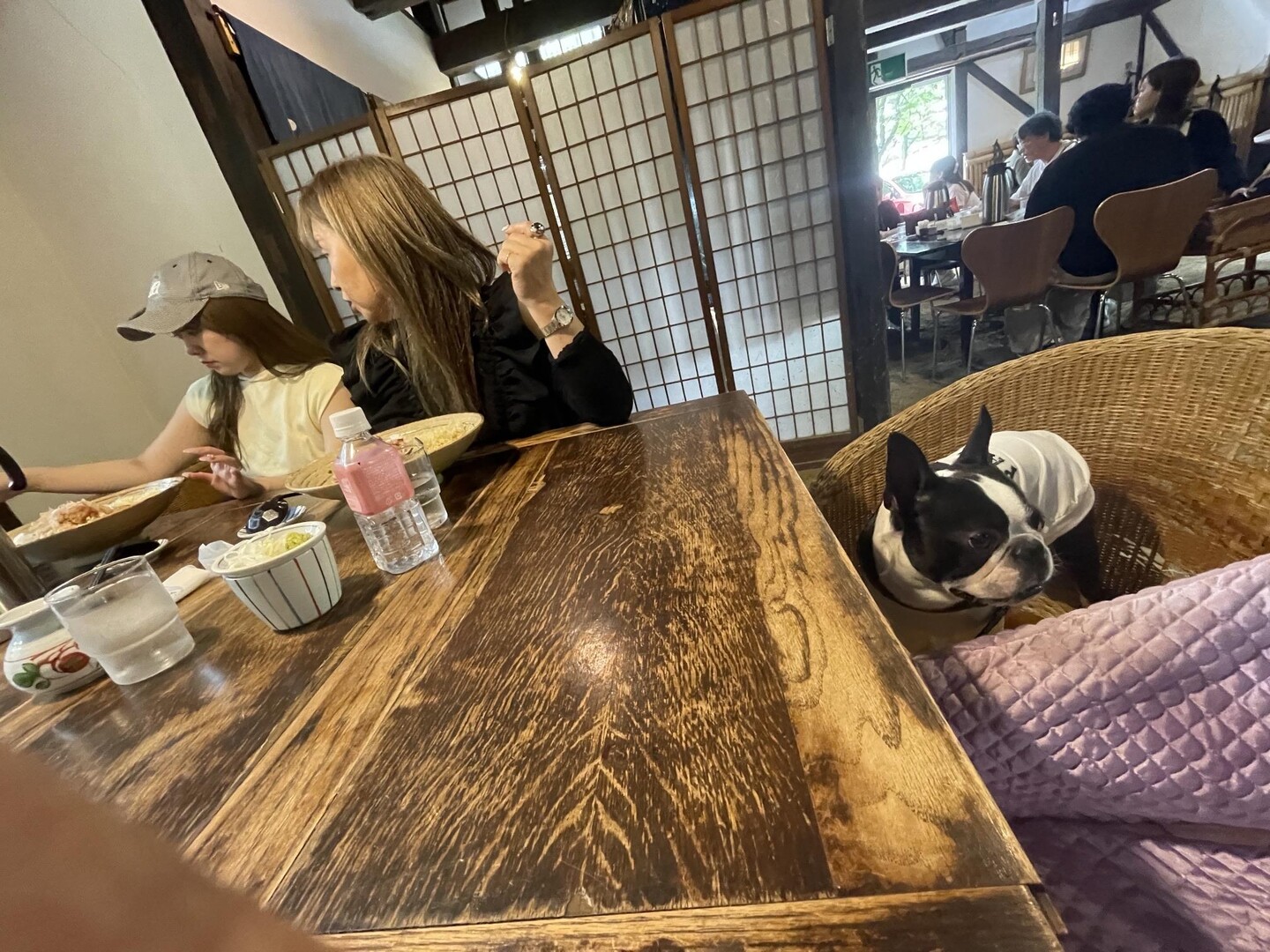 愛犬と那須旅行。 / ISOさんのモーメント | YAMAP / ヤマップ