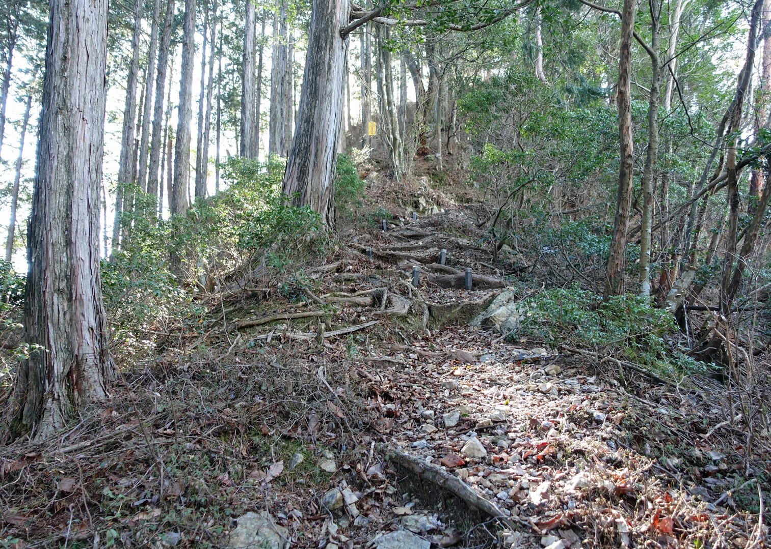 wtaxus わたくさすさんの投稿したフィールドメモ | YAMAP / ヤマップ