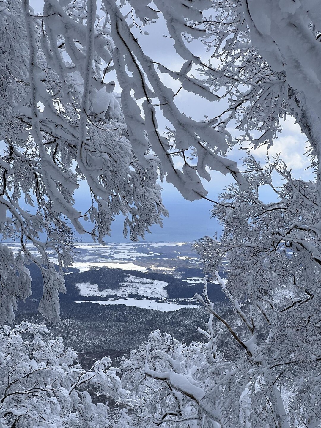 雪⛄️雪⛄️テンション⤴︎大山⛰️ / pandaさんの大山・甲ヶ山・野田ヶ山の活動データ | YAMAP / ヤマップ