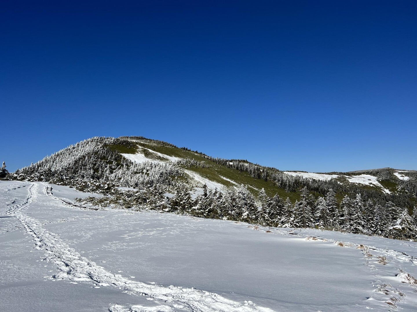 会津駒ヶ岳 / akaneさんの会津駒ヶ岳の活動データ | YAMAP / ヤマップ