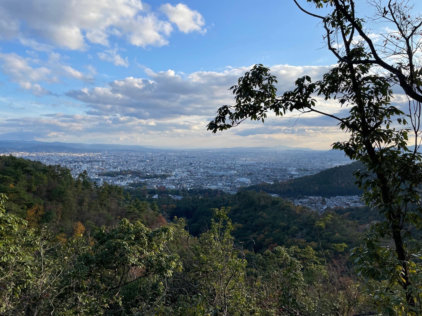 nekoさんの投稿したフィールドメモ | YAMAP / ヤマップ