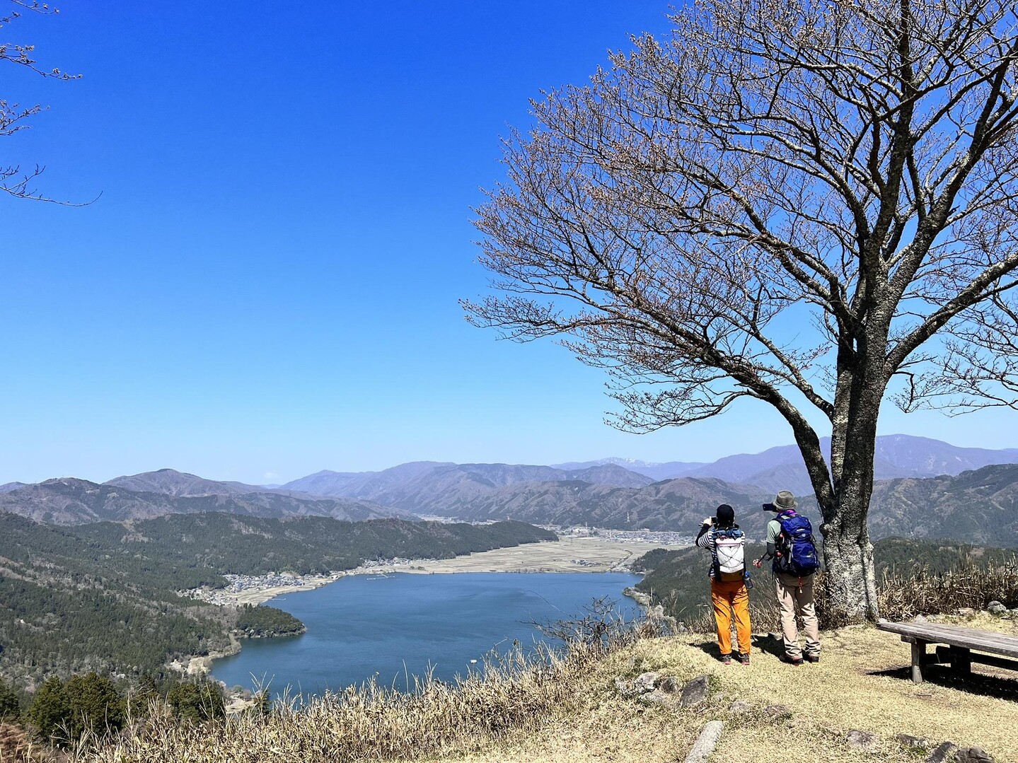 堂木山・神明山・秋葉山(秋葉越)・大平良山・公法寺山・賤ヶ岳・大岩山・岩崎山 / ma_han_mさんの賤ヶ岳・山本山の活動データ | YAMAP / ヤマップ