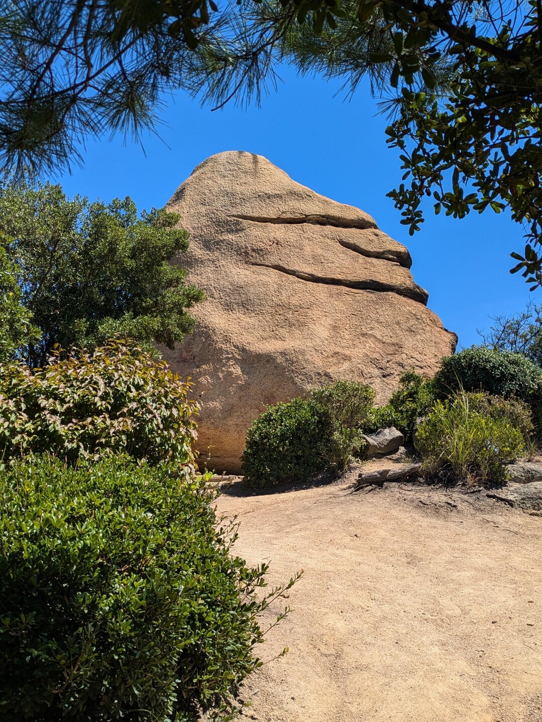 2024-08-23 灼熱の夏 / よんちゃんさんの玉野市の活動データ | YAMAP / ヤマップ