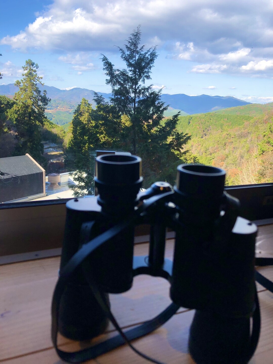 TRIP & YAMAP in 北摂エリア / ふらぼんさんの北摂里山トレイル（伊丹市・宝塚市・川西市・猪名川町エリア）の活動データ | YAMAP / ヤマップ