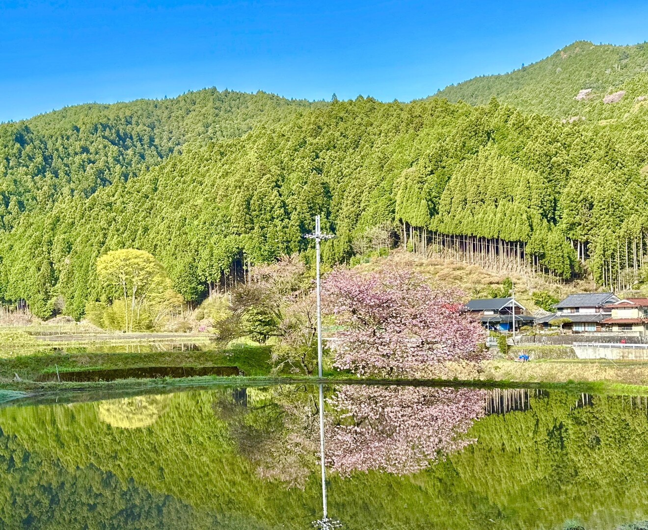 学能堂山らへん 😆 10座 / mioさんの三峰山・学能堂山・栗ノ木岳の活動データ | YAMAP / ヤマップ