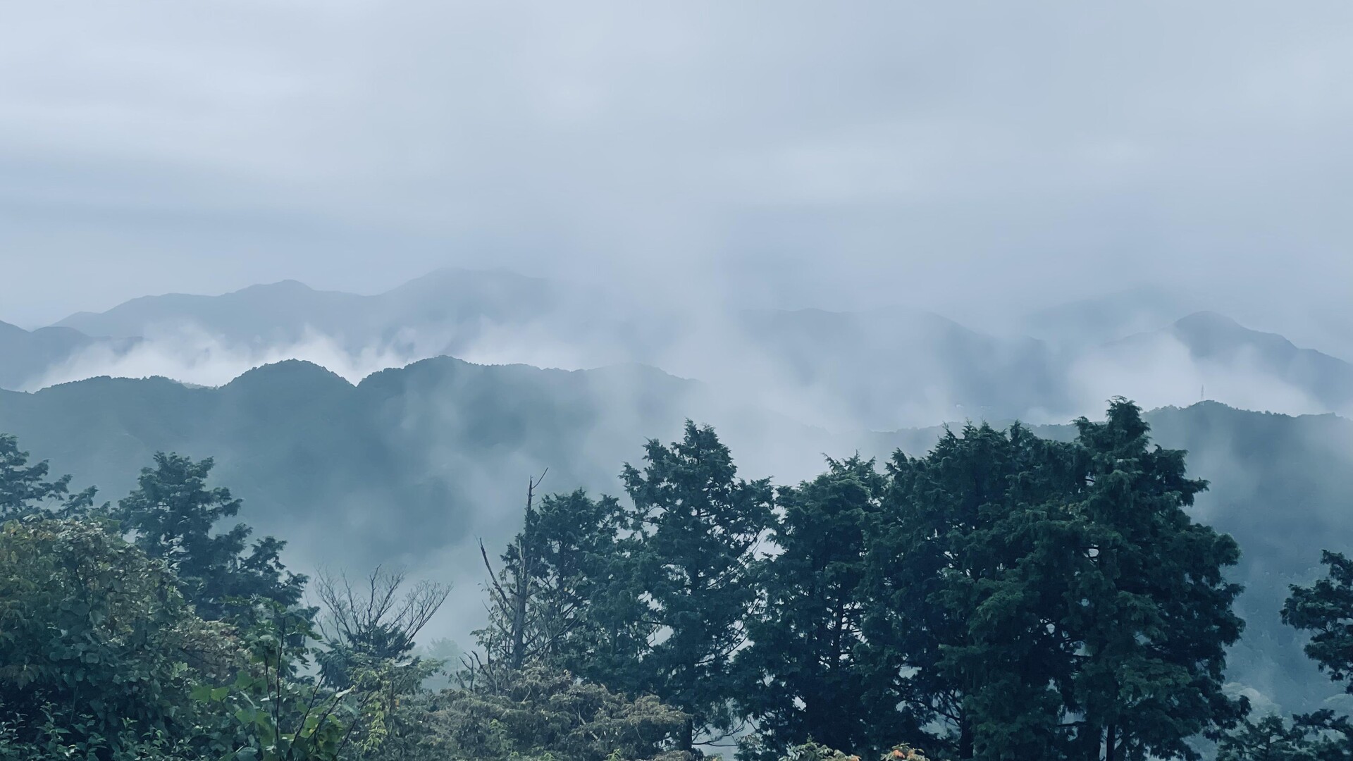 高尾山 / dK_Kbさんの高尾山・陣馬山・景信山の活動データ | YAMAP / ヤマップ