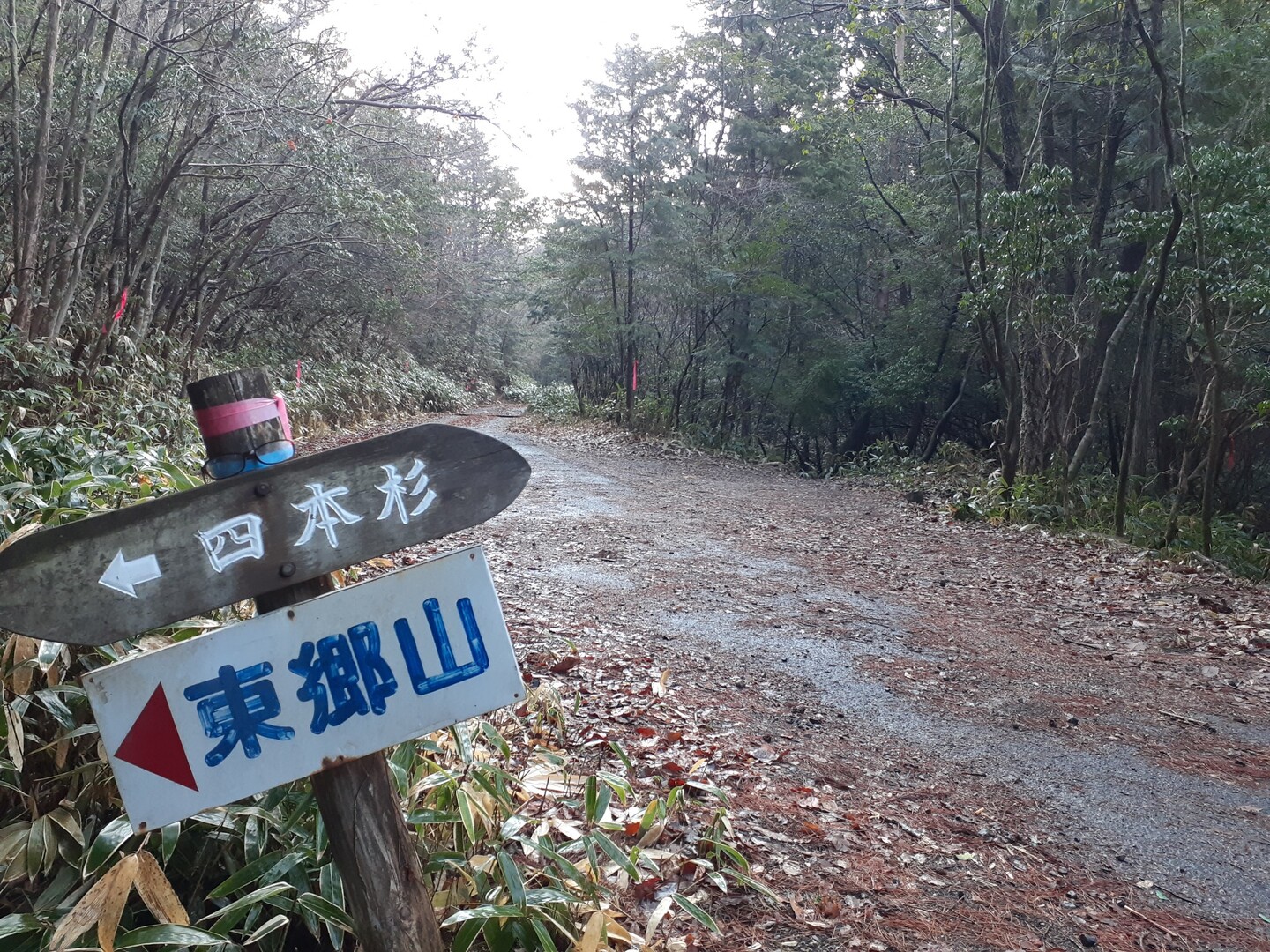 DSHさんの投稿したフィールドメモ | YAMAP / ヤマップ