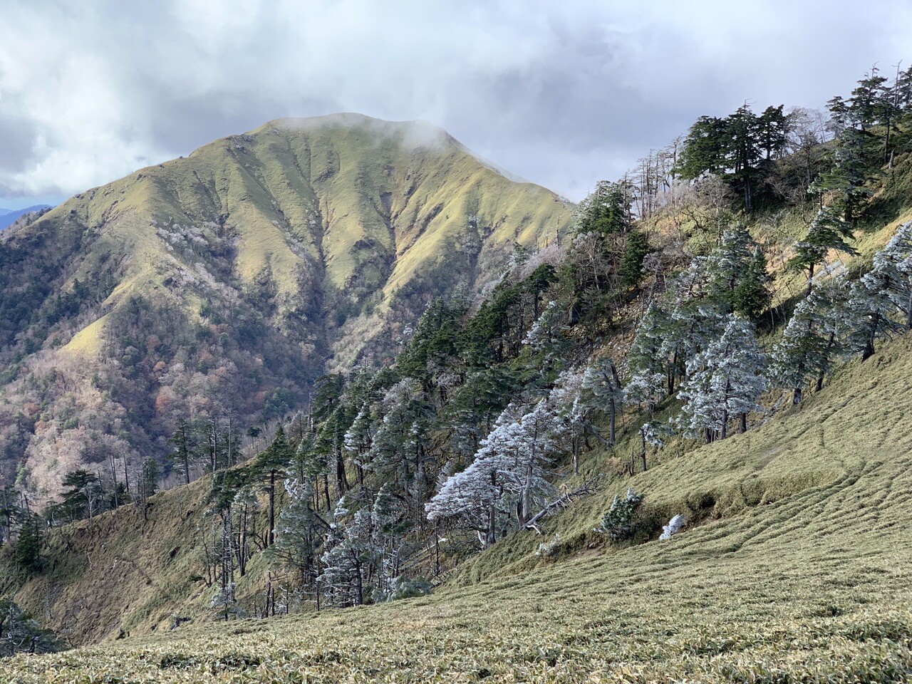 マメのページ | YAMAP / ヤマップ