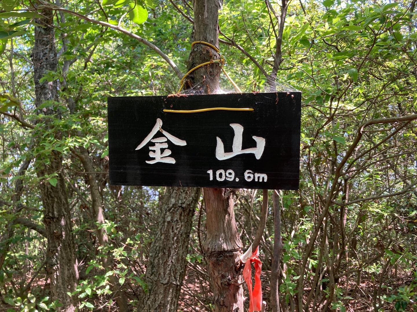 金山 / 3104（YUKAKO）さんのさぬき市の活動データ | YAMAP / ヤマップ