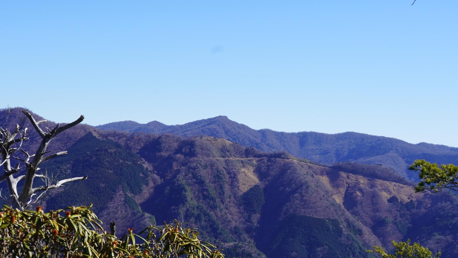 烏帽子岳アタック(58/100) / I LOVE BEER♡さんの国見岳・烏帽子岳の活動データ | YAMAP / ヤマップ