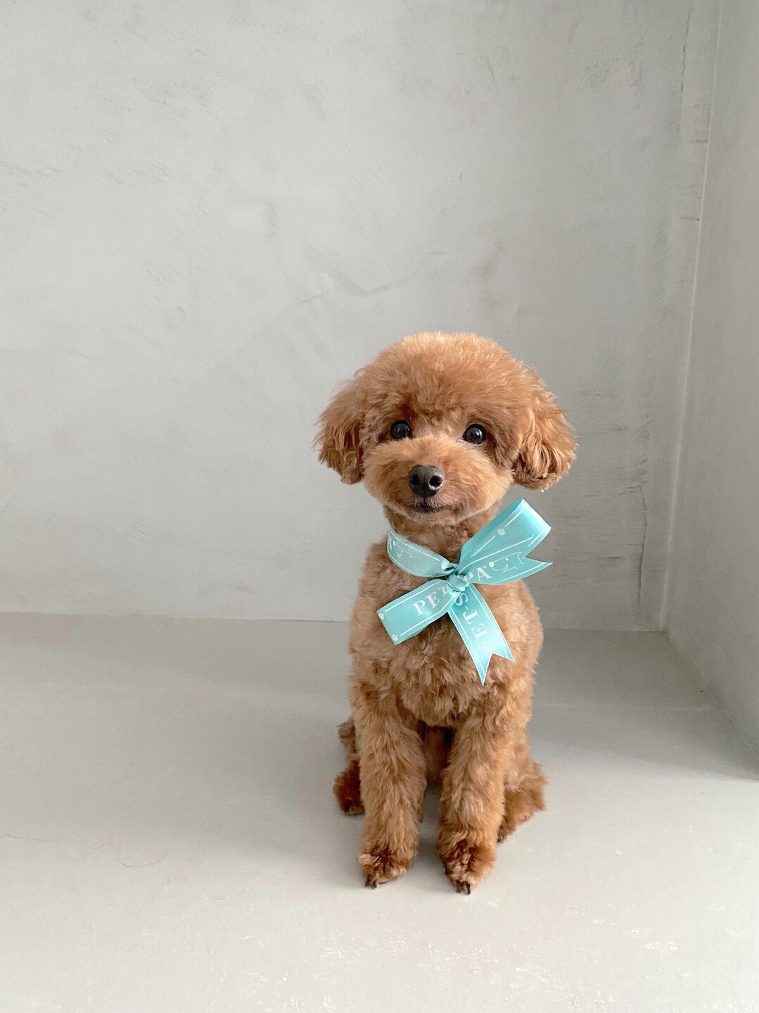 yuのページ | YAMAP / ヤマップ