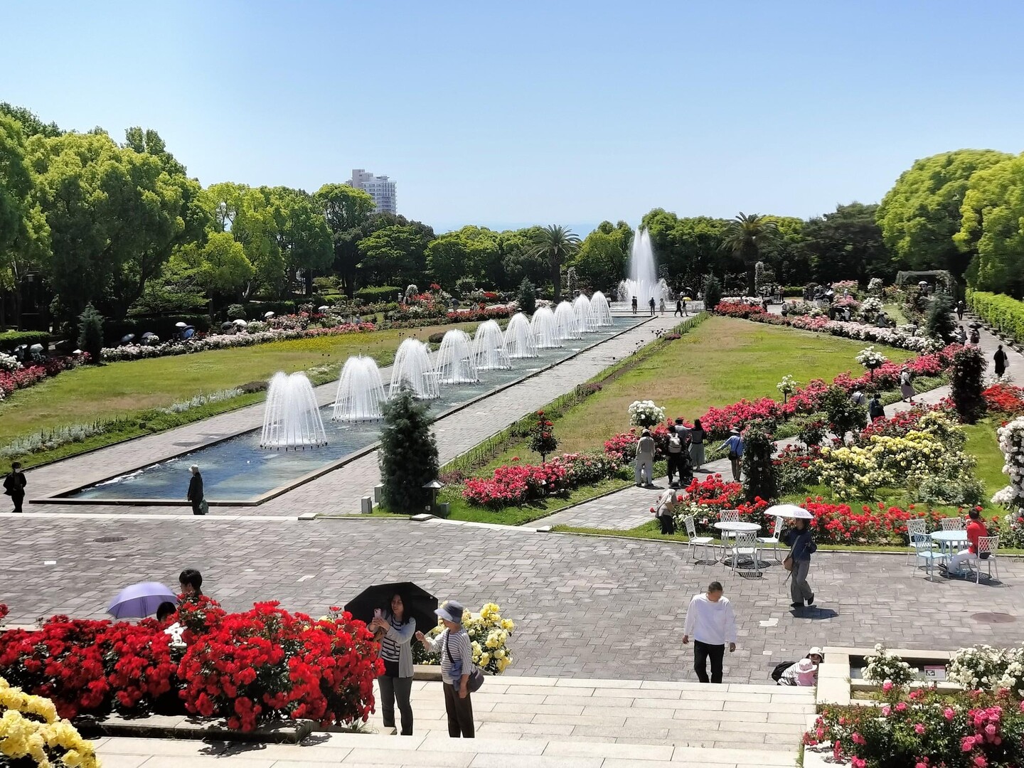 ソロ179 須磨アルプス / J.BOYさんの六甲山・長峰山・摩耶山の活動データ | YAMAP / ヤマップ